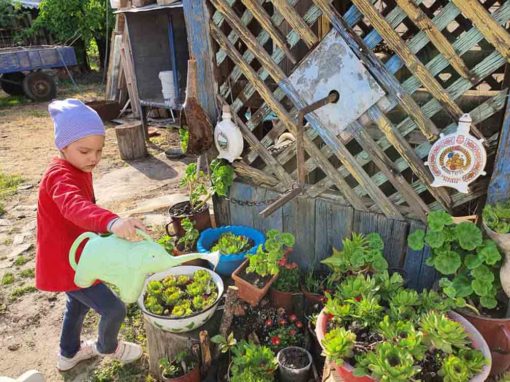 A Child's Drawing Stages and Development - Creative