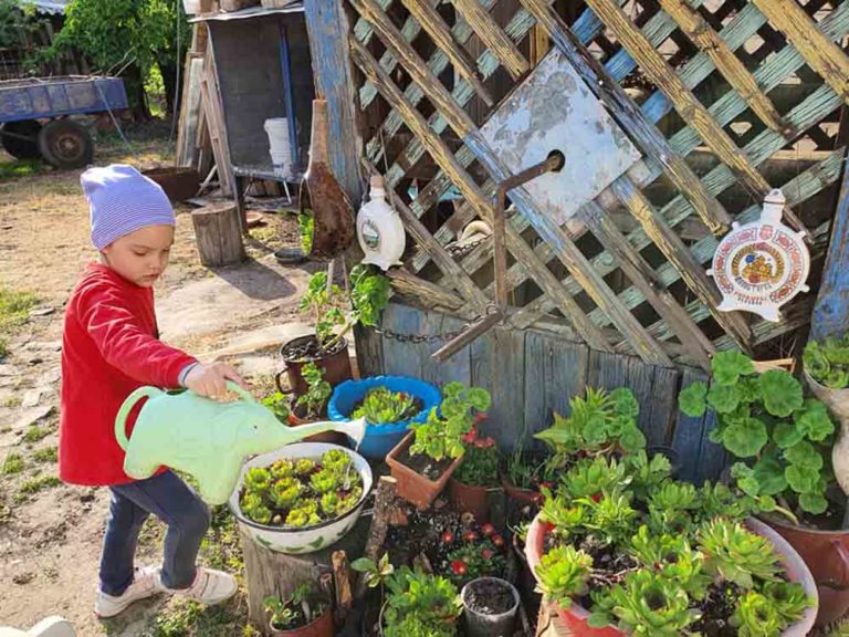 Is it better for children to grow up in the village or the city?